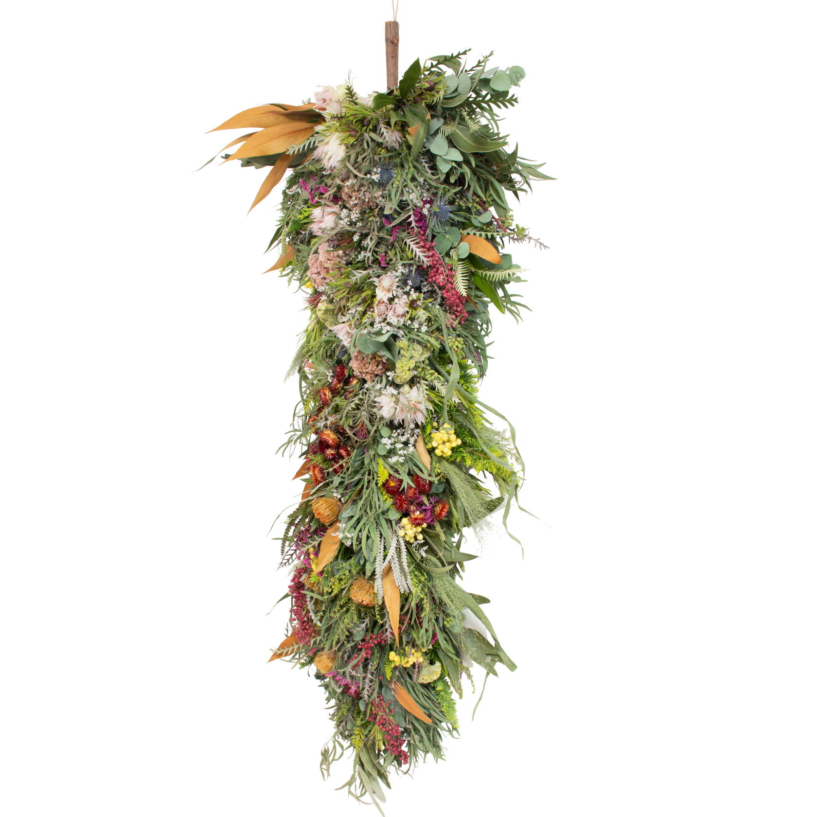 DC-023_1 | JFN ジャパン･フラワーネットワーク